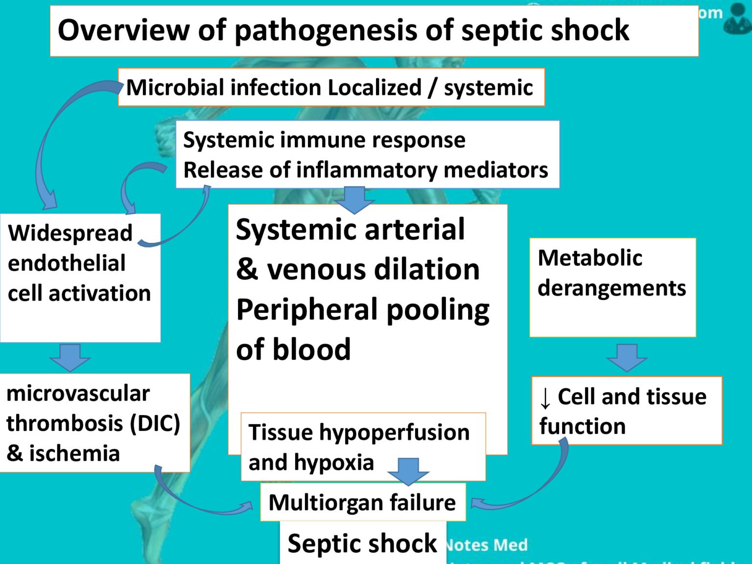 Shock: Types, Pathogenesis, Symptoms, Morphology-NotesMed | NotesMed